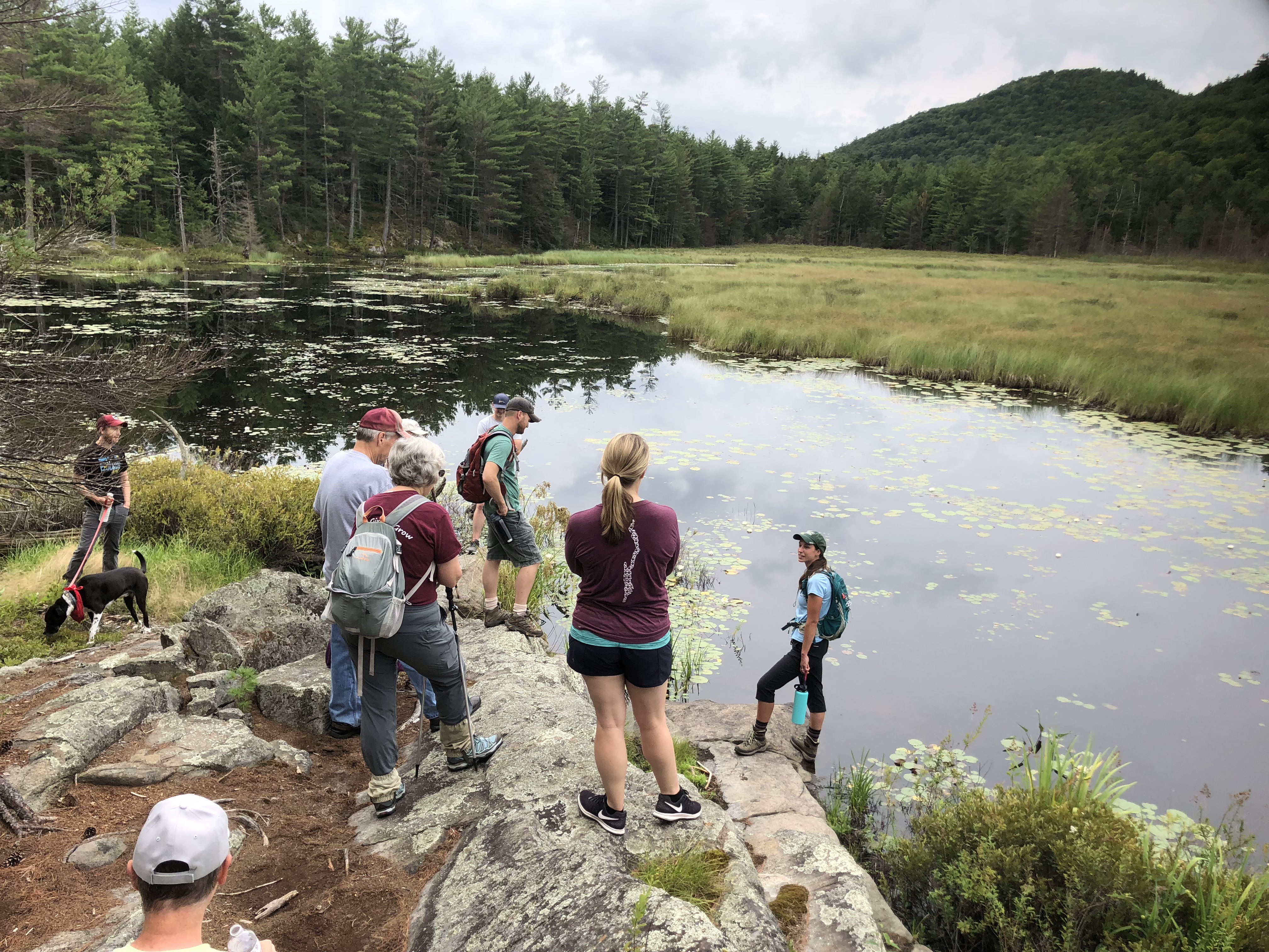Beavers: Engineering America